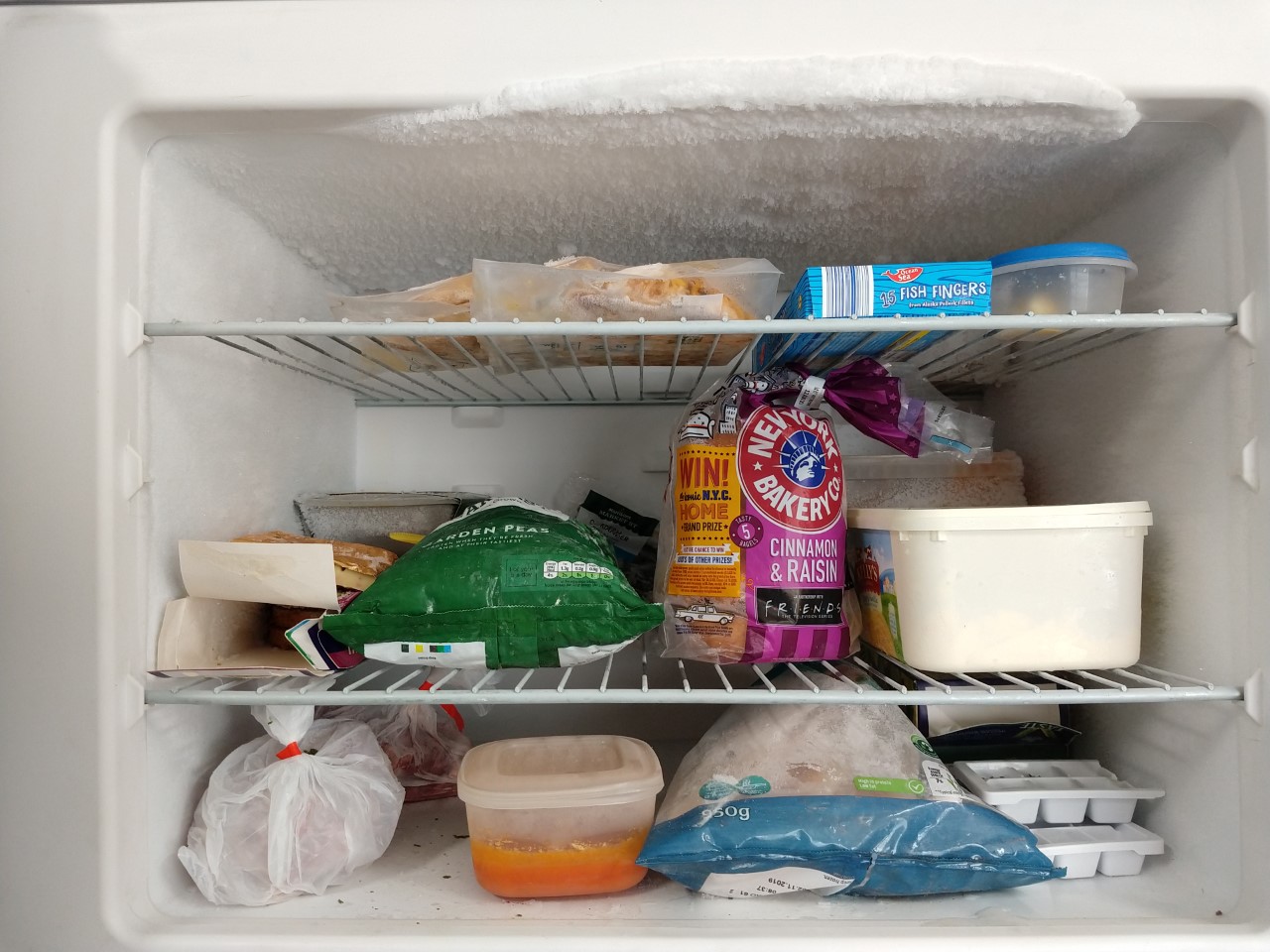Using Your Freezer to Fight Food Waste – Spot of Earth